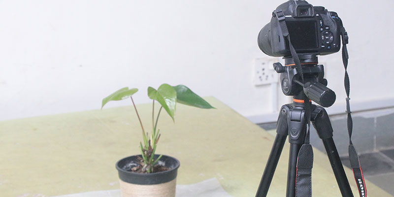 Media Lab - BITS Pilani