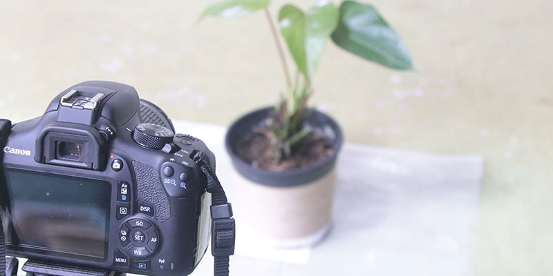 Media Lab - BITS Pilani